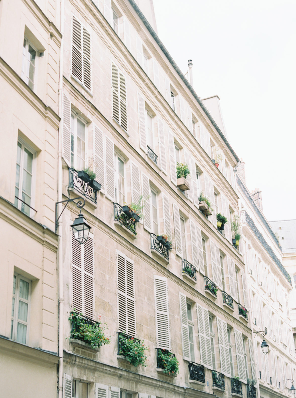 Paris Portrait Photographer | Paris Wedding Photography | Molly Carr