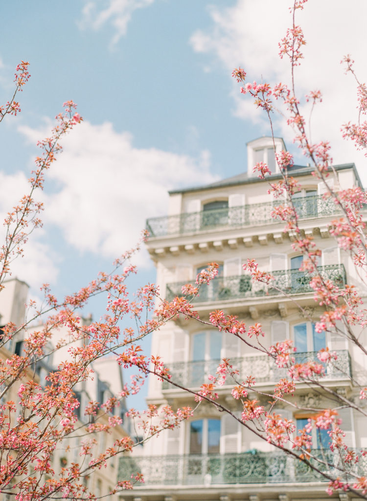 Paris Spring Photography Travel Guide by Molly Carr on Film