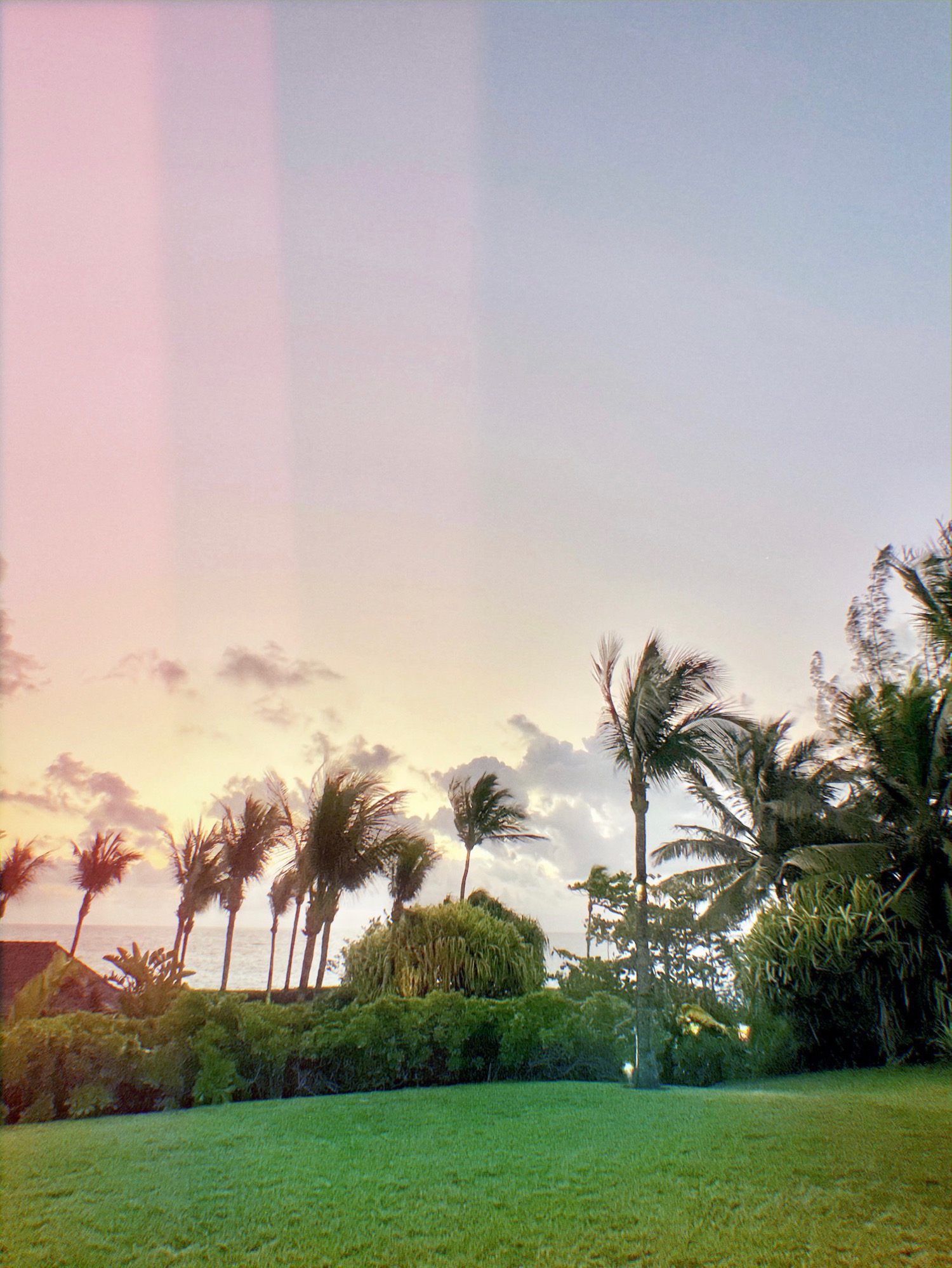 Harbour Island Wedding Photography